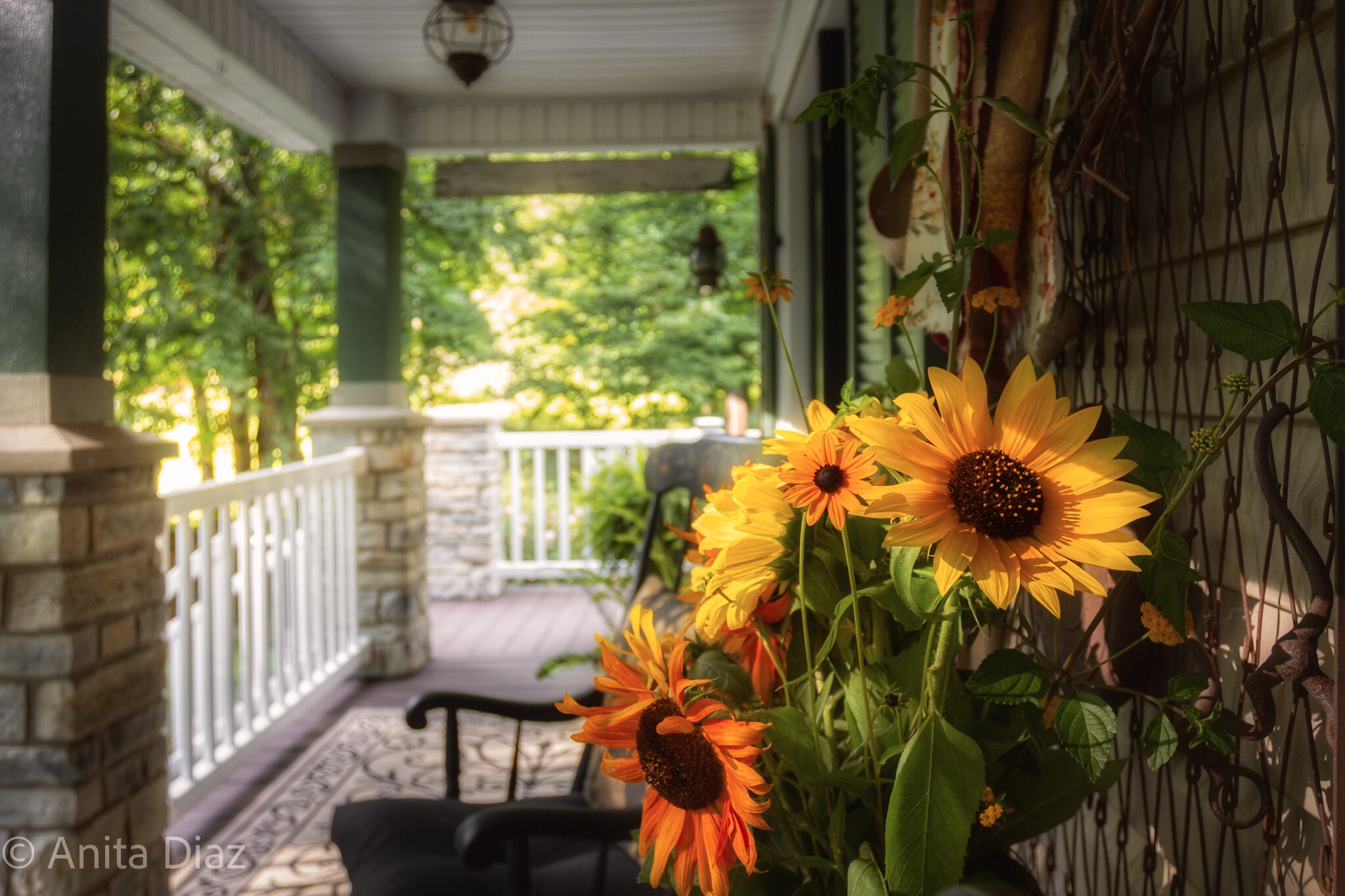 Summer farmhouse porch - Whispering Pines Homestead
