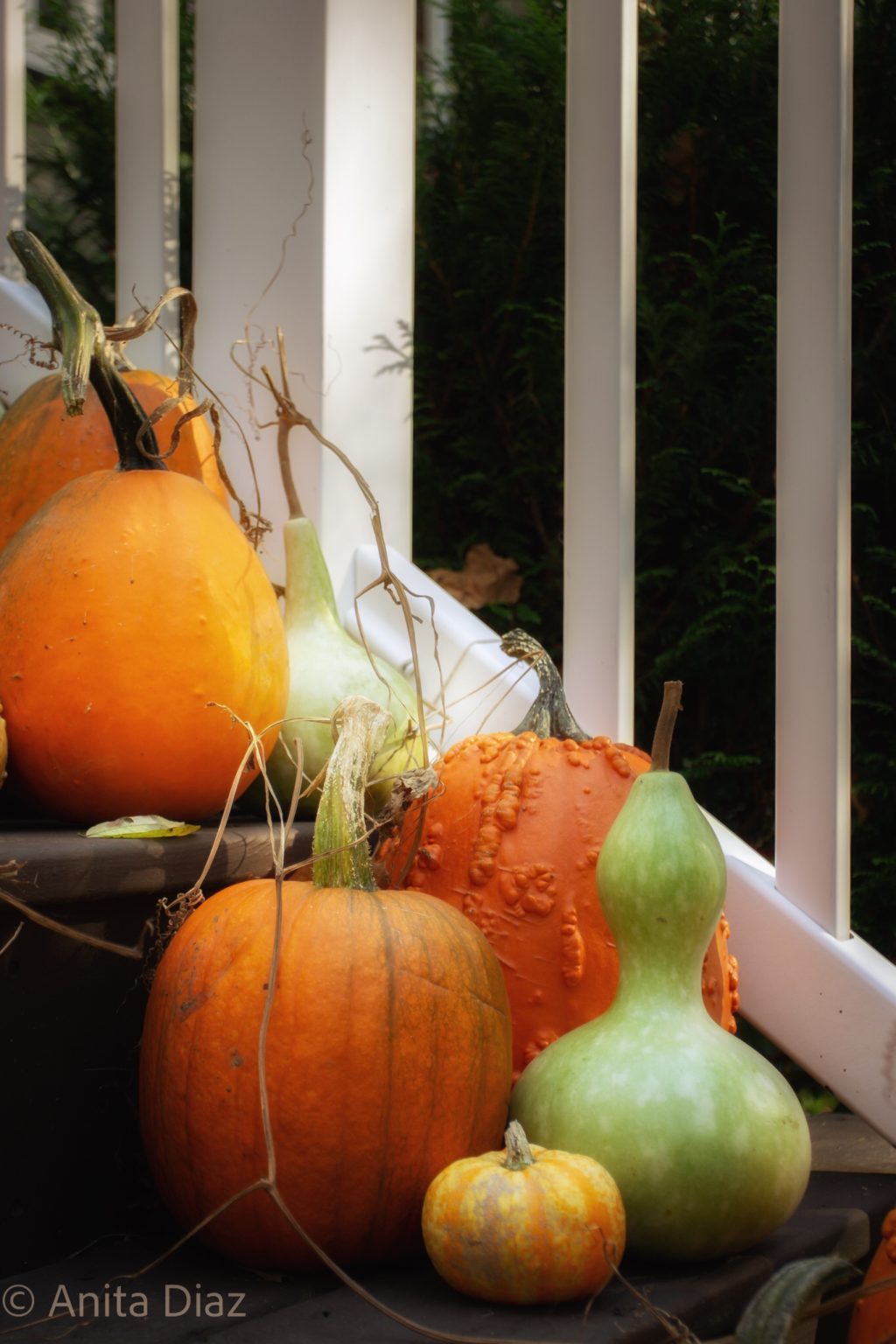 Cozy Cottage Fall Porch - Whispering Pines Homestead